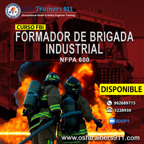 Curso FBI : Formador de Brigada Industrial según NFPA 600 – OSH ...